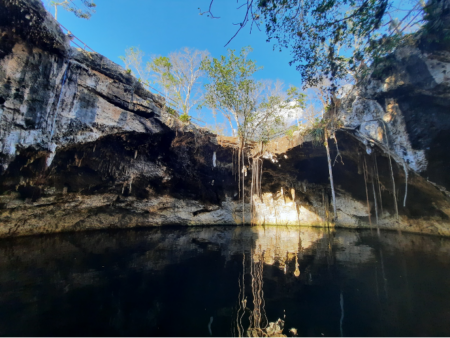 Top 7 actividades para hacer en un cenote – Cenoteando MX